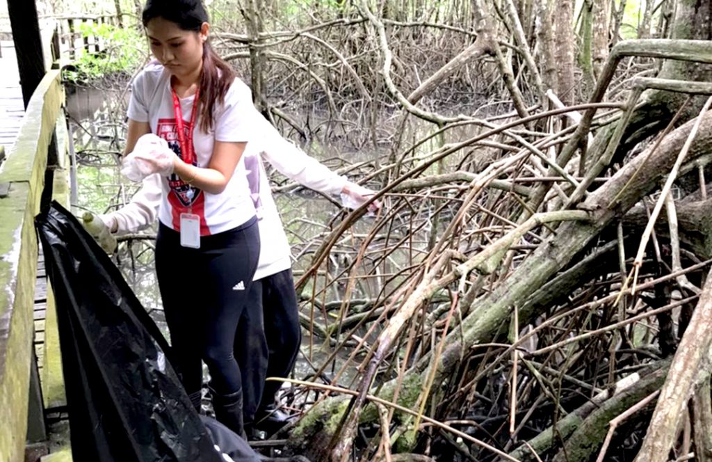 SIA College students participating in a mangrove cleaning program at KK ...